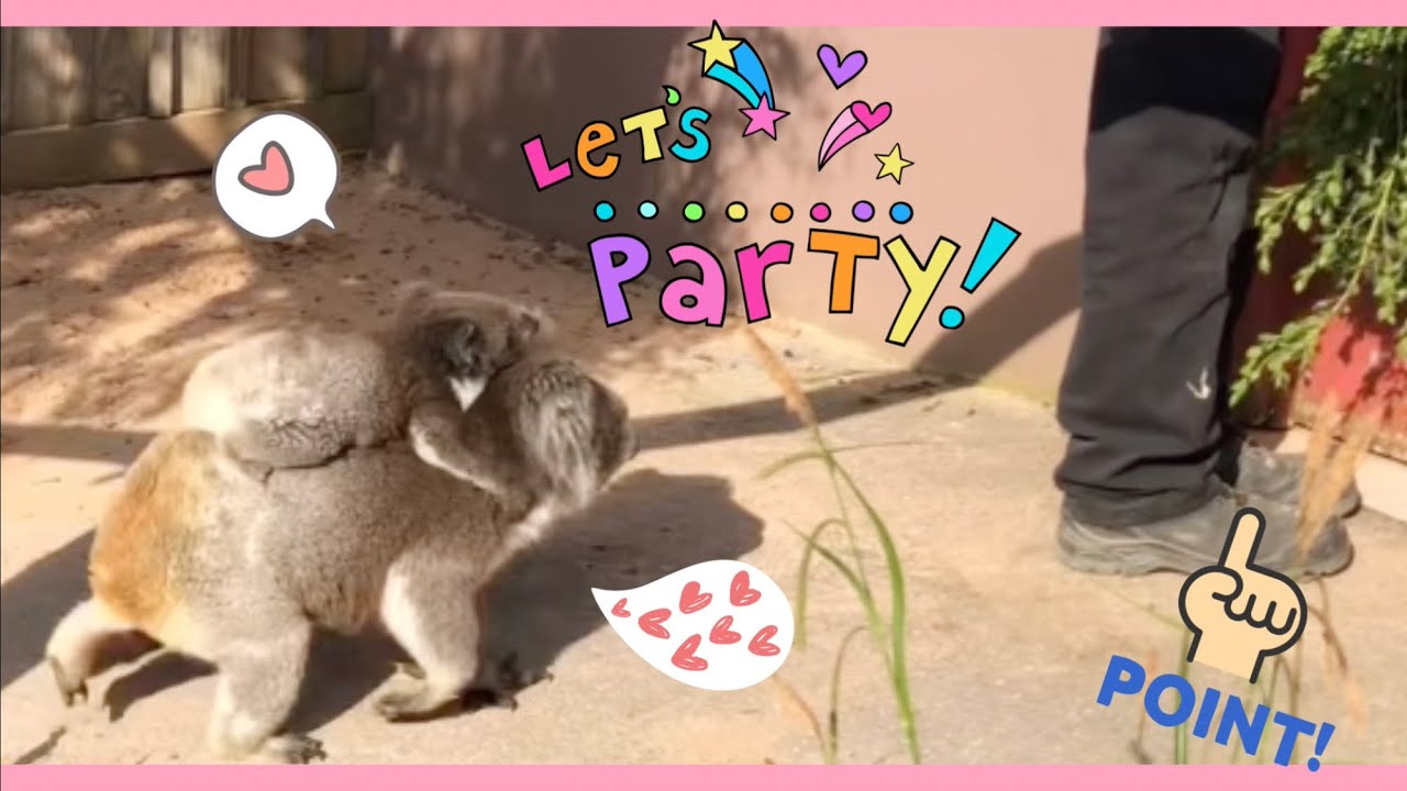 Koalaty party time for mum and daughter【アーク父ちゃん家族】 - YouTube
