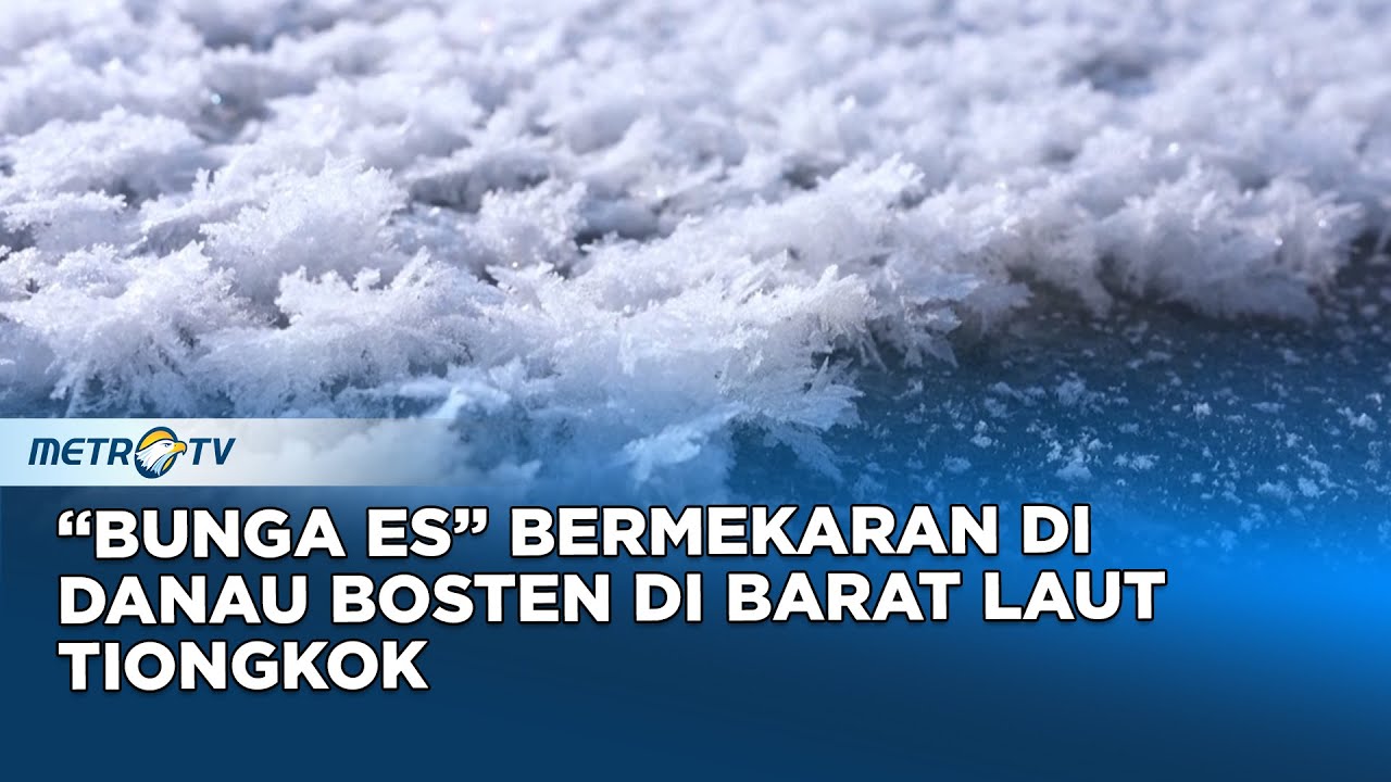 Bunga Es Indah Muncul di Danau Bosten Xinjiang - YouTube