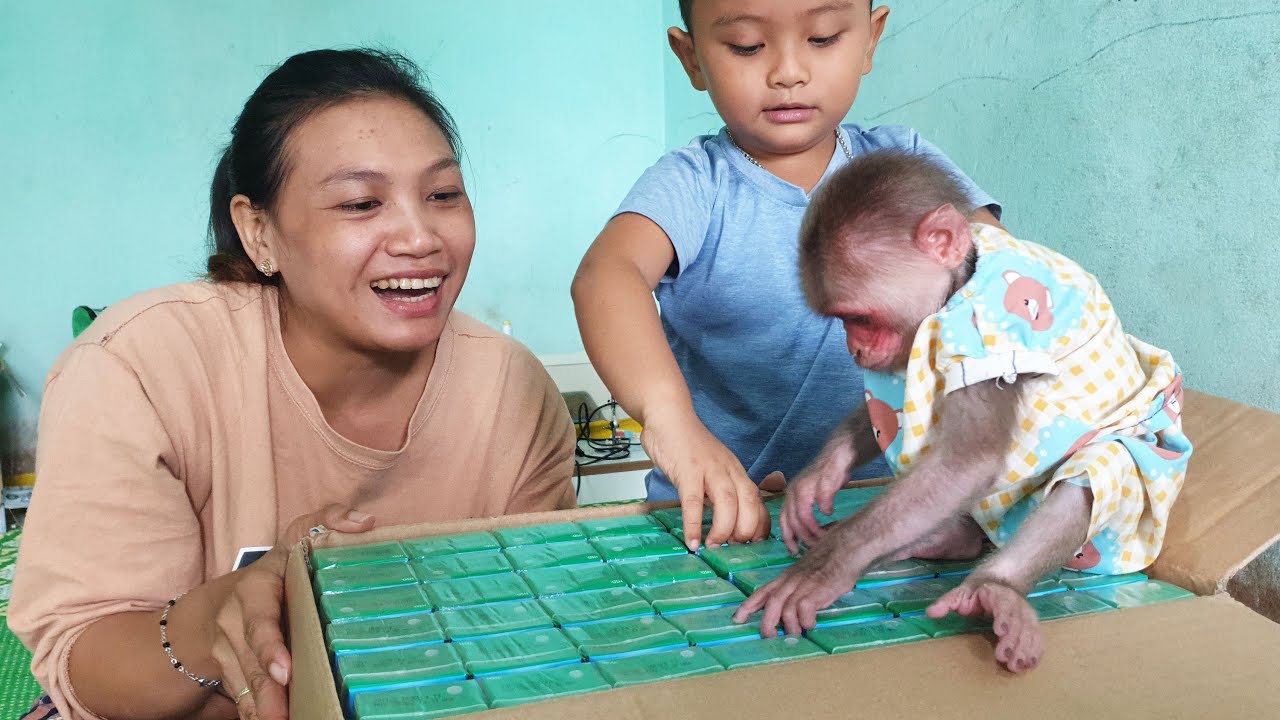 Baby Monkey Bob opens a big gift box full of love - YouTube