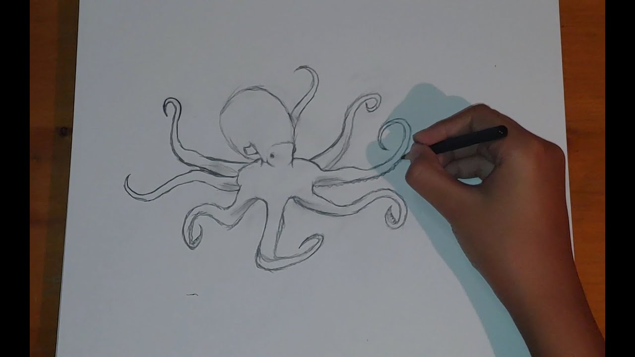 Como dibujar un pulpo--How to draw a octopus - YouTube