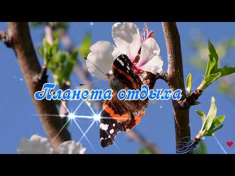 доброе утро Татьяна