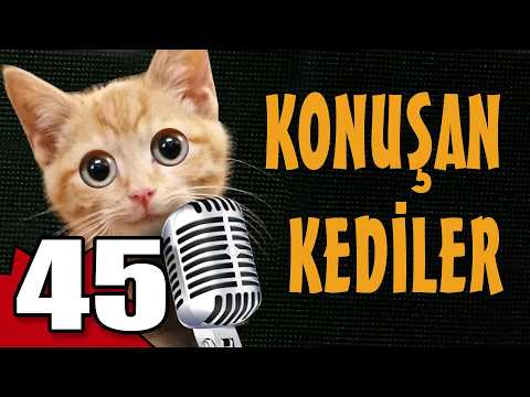 Konuşan Kediler 45 - En Komik Kedi Videoları