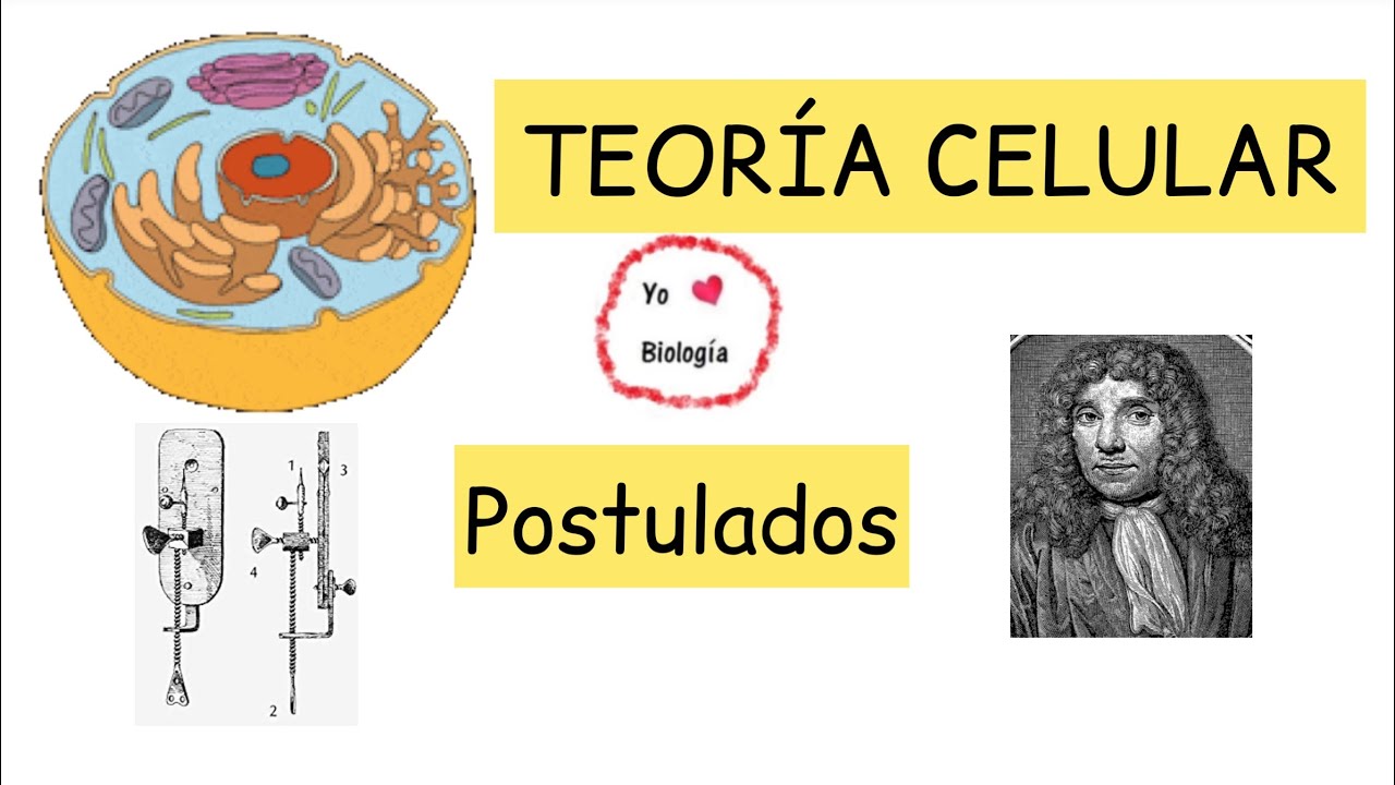 Teoría celular: Ejemplos e historia - @BiologíayEcología # ...