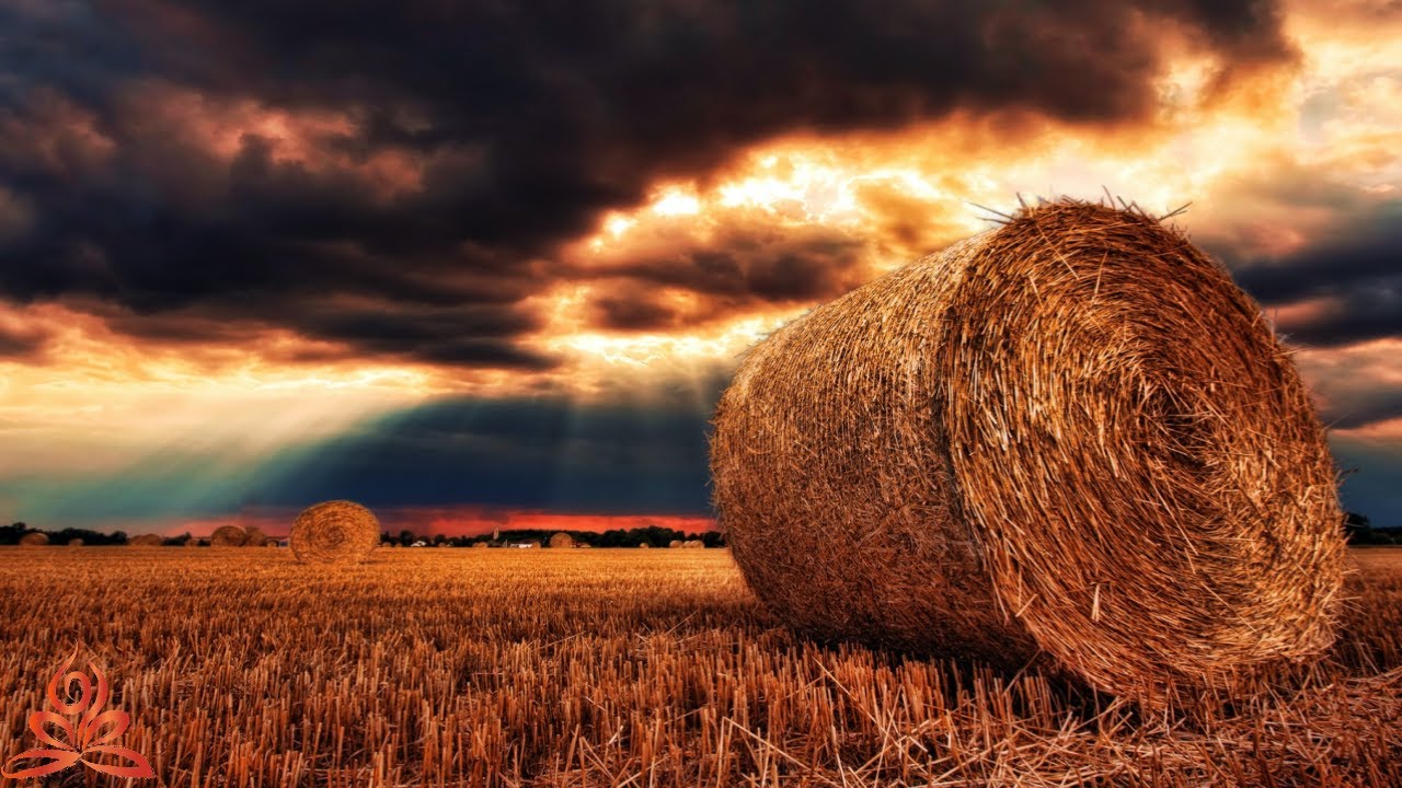 Soothing and Relaxing Farm Music | Happy Guitar Music for Peace, Stress ...