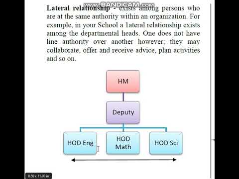 Office Administration 01 part 09 lateral relationship - YouTube