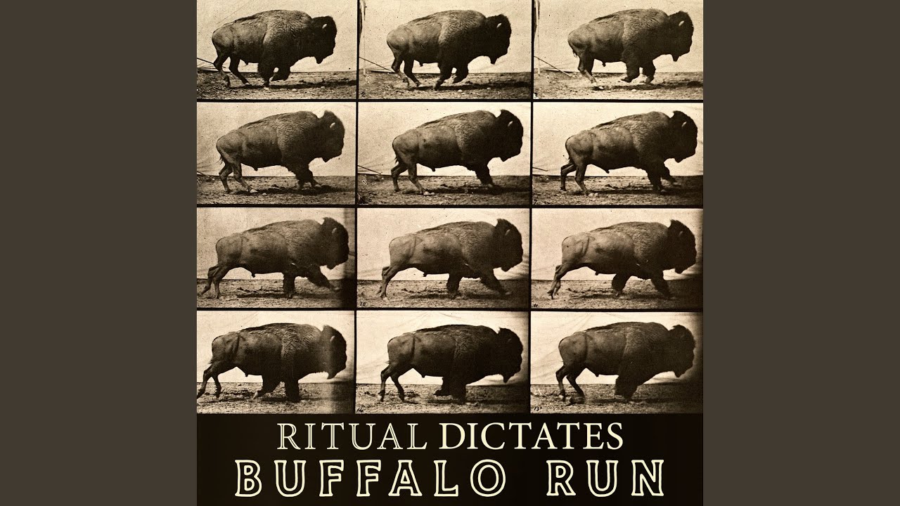 Buffalo Run - YouTube