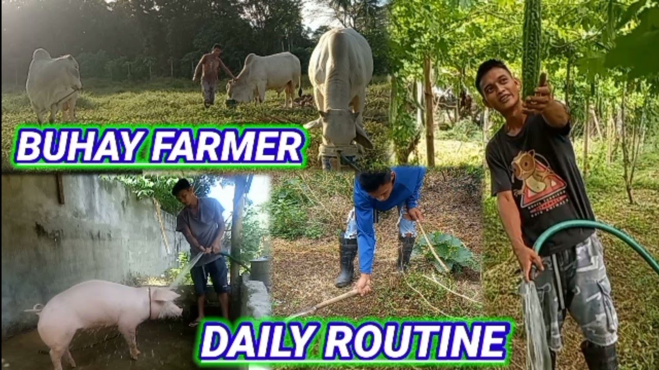 Buhay Farmer Daily Routine - YouTube