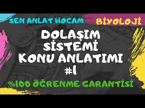DOLAŞIM SİSTEMİ KONU ANLATIMI 1 | AÇIK - KAPALI KAN DOLAŞIMI | AYT BİYOLOJİ | ✅