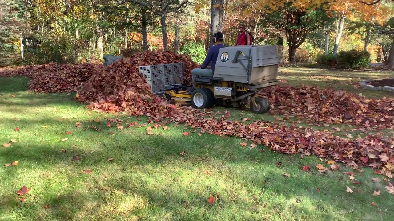 Walker with Leaf Plow - YouTube