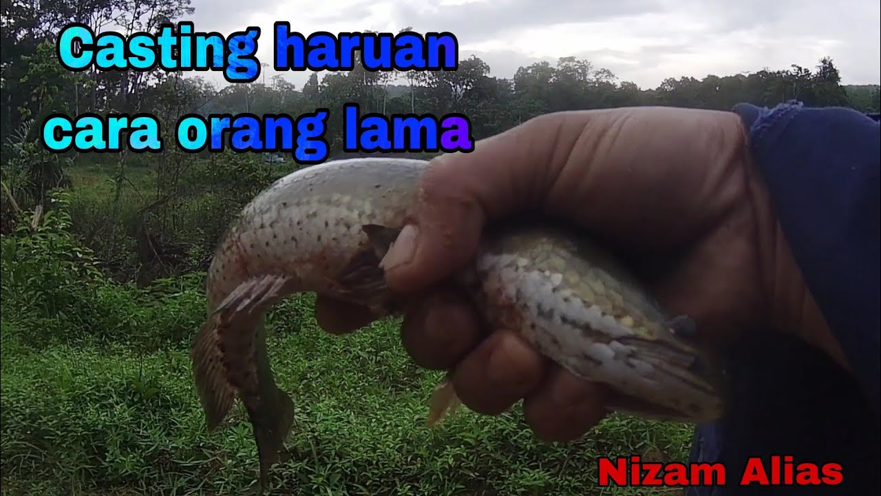 CASTING HARUAN CARA ORANG LAMA - YouTube