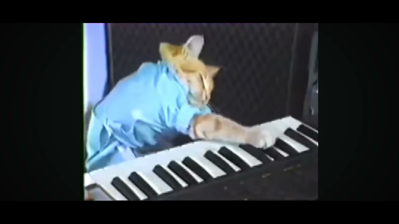 1984 Keyboard Cat - YouTube