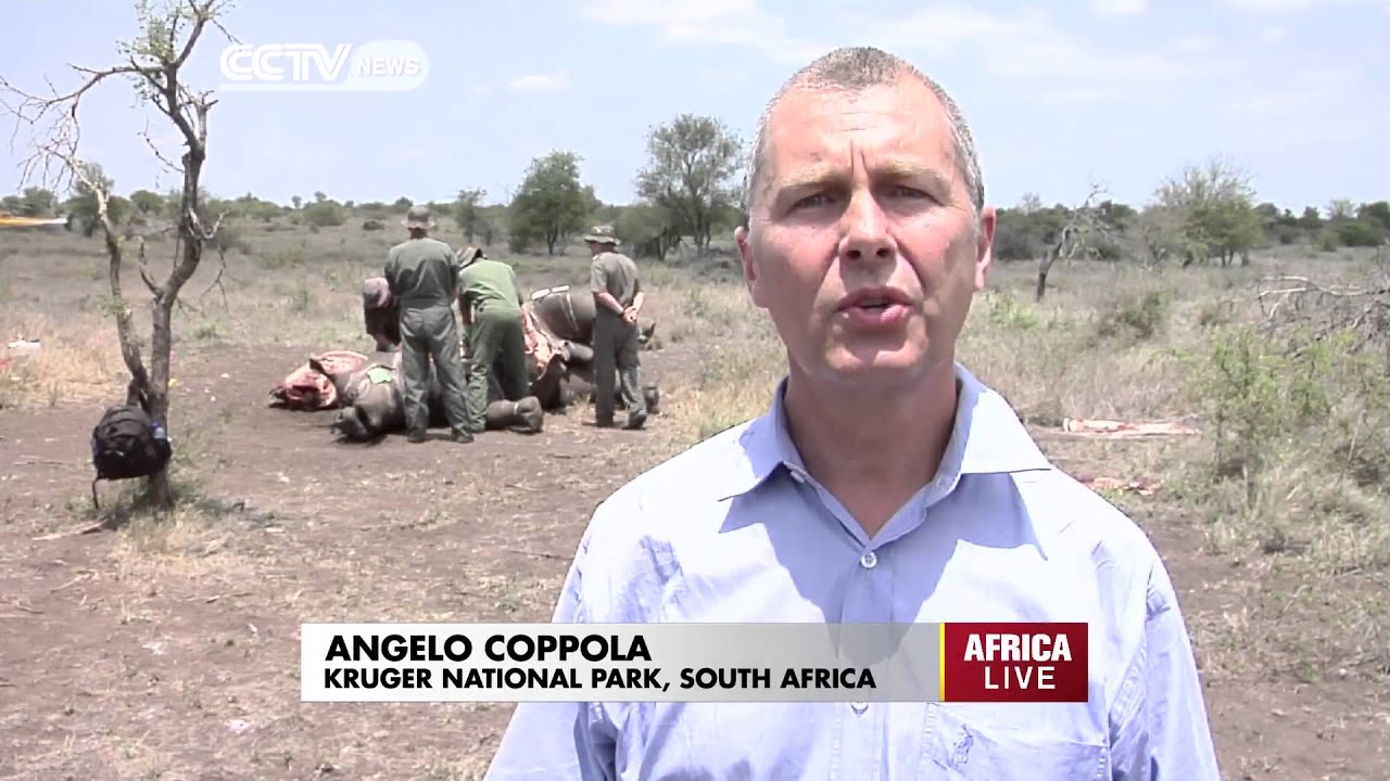 SA Defence Force joins active anti-poaching initiatives - YouTube