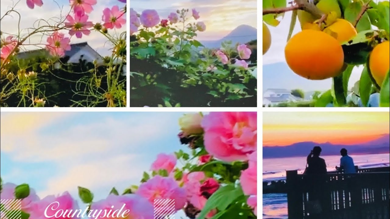 THE SIMPLE PROVINCE LIFE IN JAPAN #gardeninghouseplants - YouTube