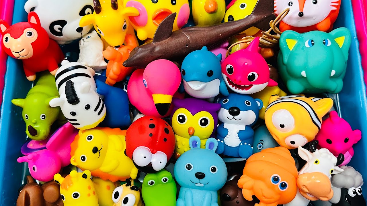 Animals For Toddlers Farm Zoo Wild Sea Animals For Kids Sea animals-for-toddlers-farm-zoo-wild-sea-animals-for-kids-sea
