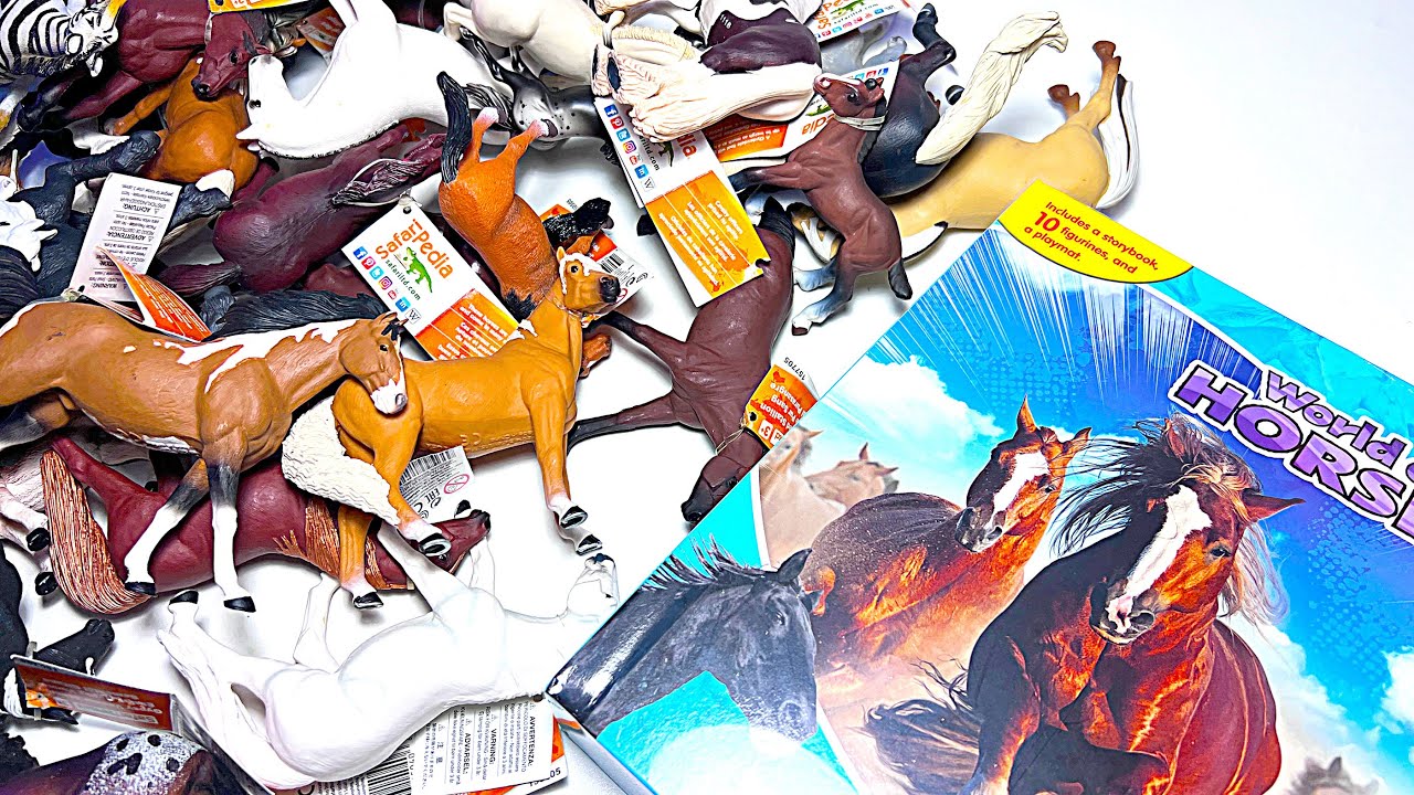 Horses Collection - Thoroughbred, Black Forest Horse, Morgan Mare ...