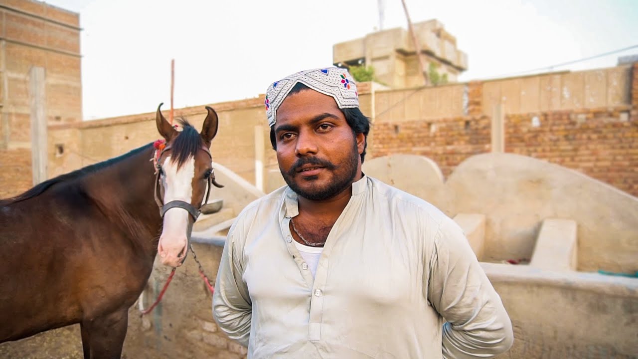 Vlog With Ali Sher Junejo | Horse Stable | Hassan Raza John - YouTube