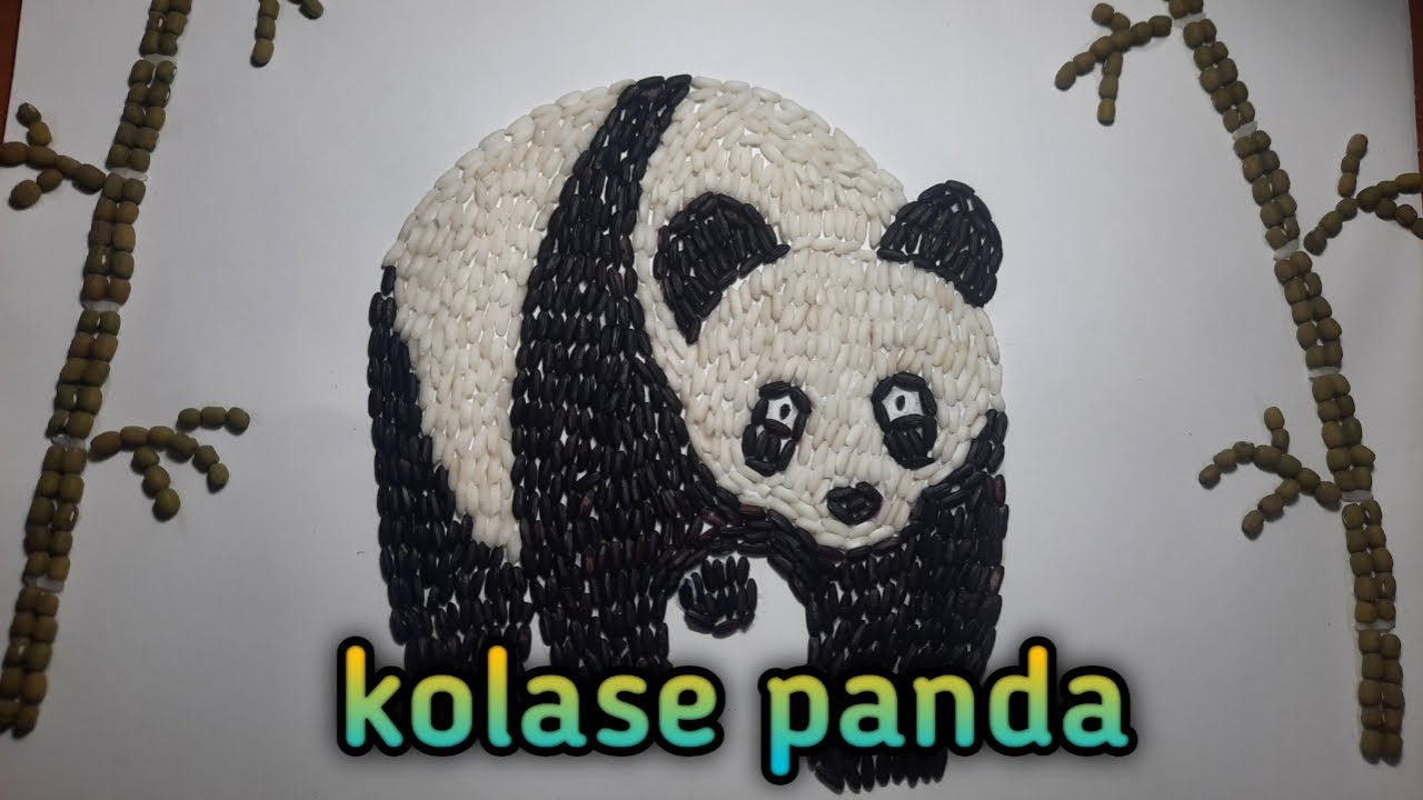 kolase panda dari biji bijian - YouTube