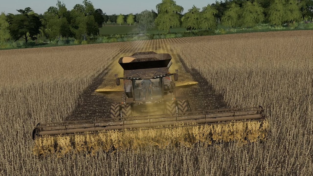 Farmersburg Ep#31 | Harvest | FS19 Timelapse | Farming Simulator 19 ...