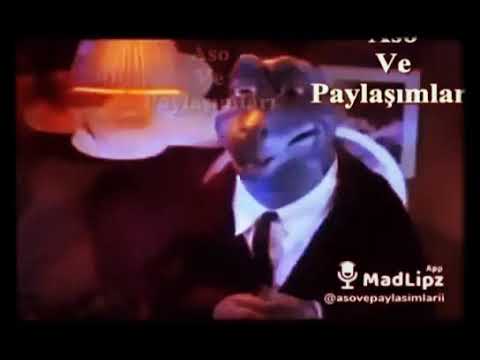 #ağrı #patnos  #karışıklar Komik videolar Kürtçe komik videolar