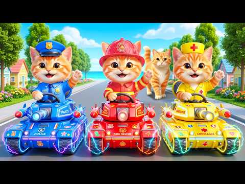 Mama Cat Trims Fur on the Farm and Makes Tiger Hat For Kittens At Home🐾🎩🐯