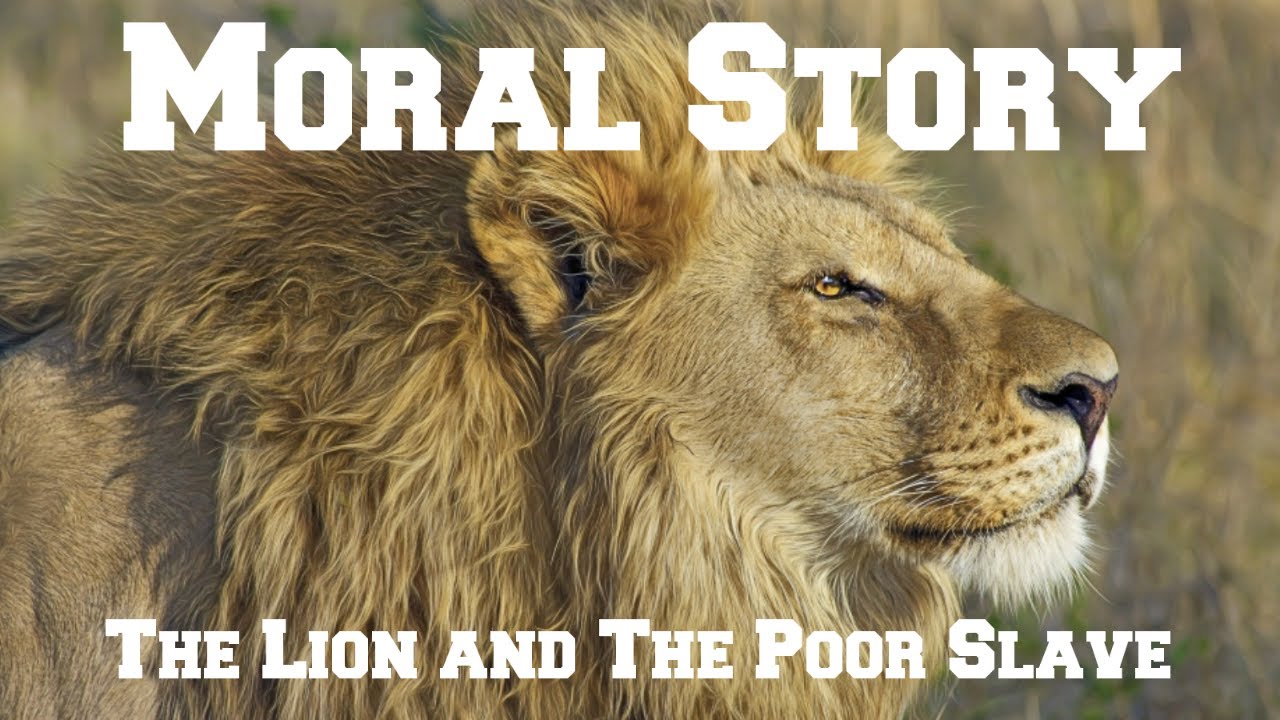 Moral Story || 10 || The Lion and The Poor Slave || English - YouTube