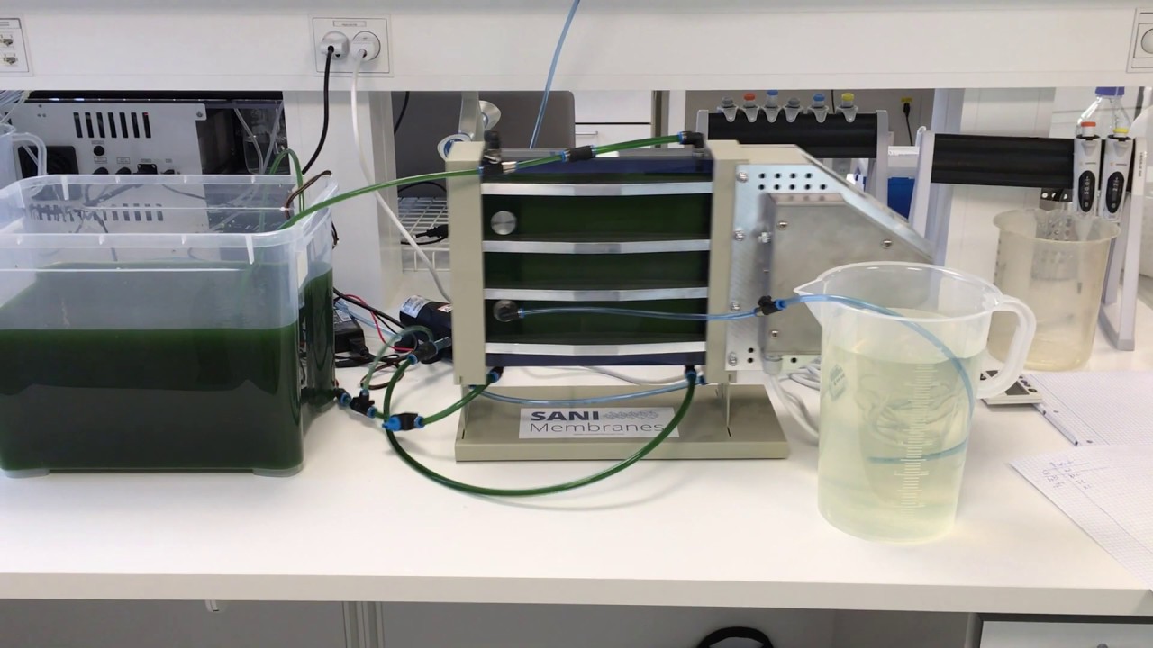 Algae harvest with SANI Membrane's Vibro filtration system - YouTube