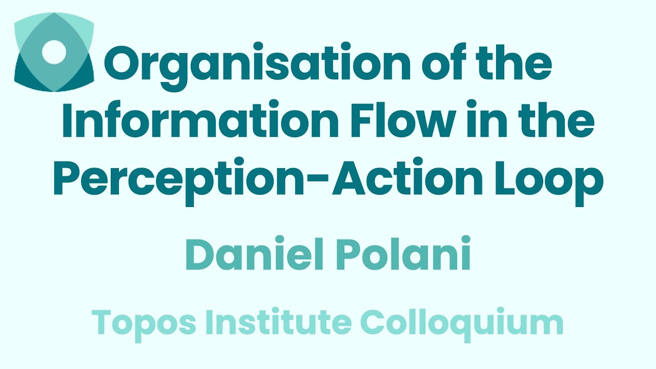 Daniel Polani: "Organisation of the Information Flow in the Perception-Action Loop" - YouTube
