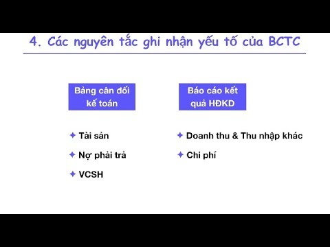 Báo cáo tài chính | Các yêu cầu cơ bản & Các yếu tố của BCTC | Ôn thi ...