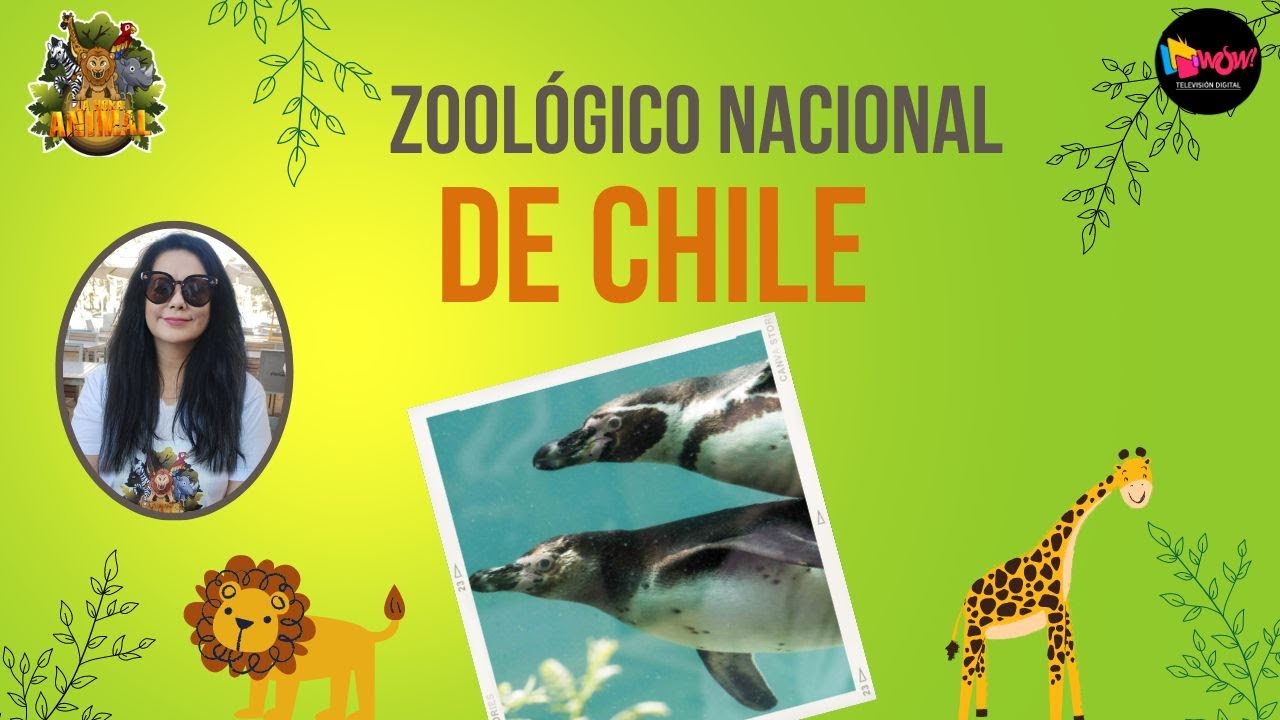 Zoológico Nacional de Chile - YouTube