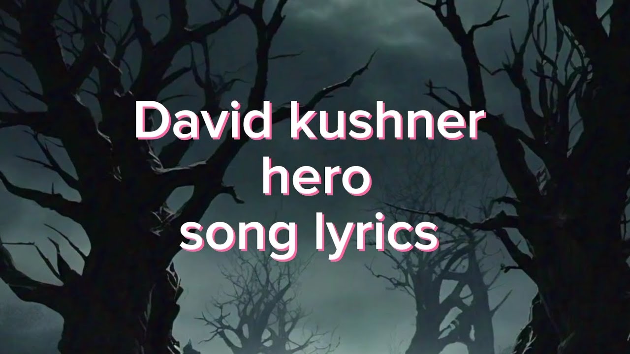 David kushner Hero lyrics video . @david.kushner - YouTube