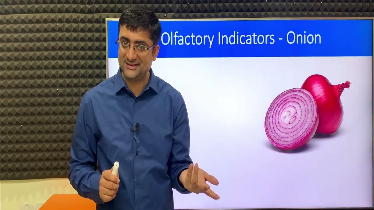 Class 10 Science Chemistry Acids Bases And Salts Olfactory class-10-science-chemistry-acids-bases-and-salts-olfactory