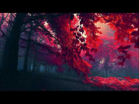 Aliosha - Talai Pruna