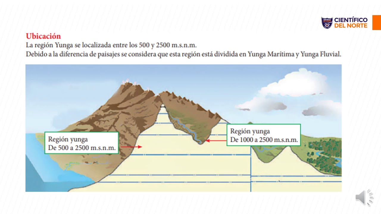 REGION YUNGA - YouTube