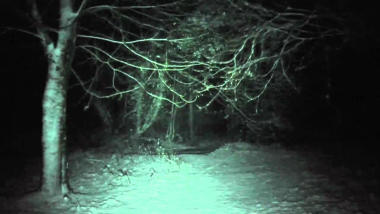 2011 Exposure Six Pack Bike Light - YouTube