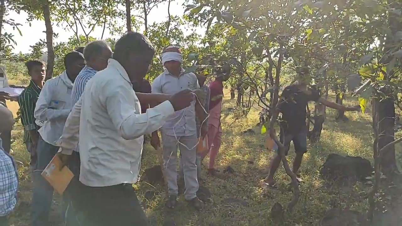 Tree stock estimation by Point Center Quarter Method - YouTube