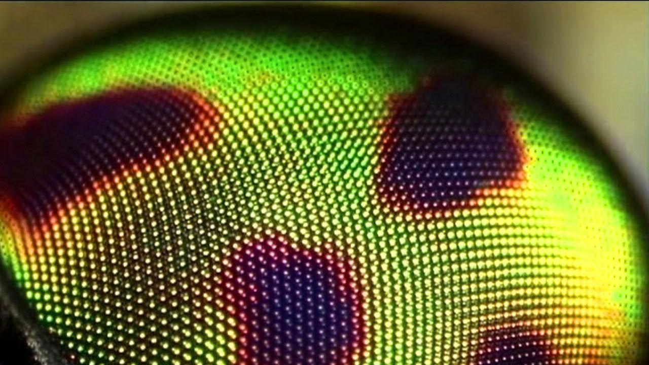 Thousand Colors In One Eye YouTube thousand-colors-in-one-eye-youtube