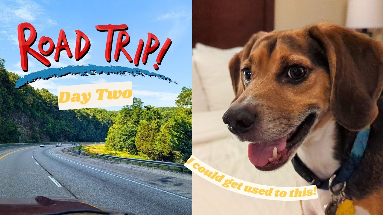 WhY aRe ThEsE rOaDs So BuMpY?! | Road Trip Day 2 🚗 - YouTube