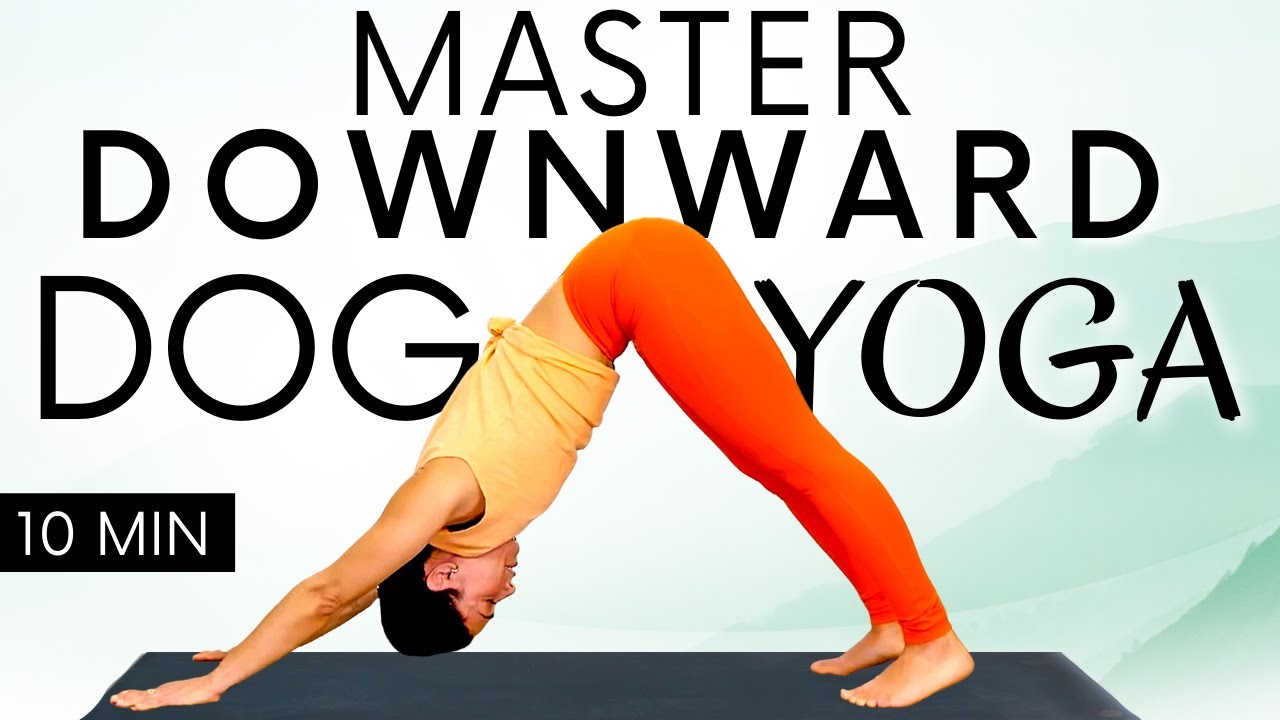 Yoga Beginners Challenge! Master Your Pose! Downward Dog with Eliz ...