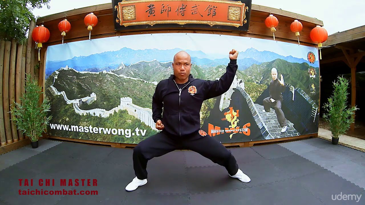 Tai Chi Chen Style : Blocking & Punch - YouTube