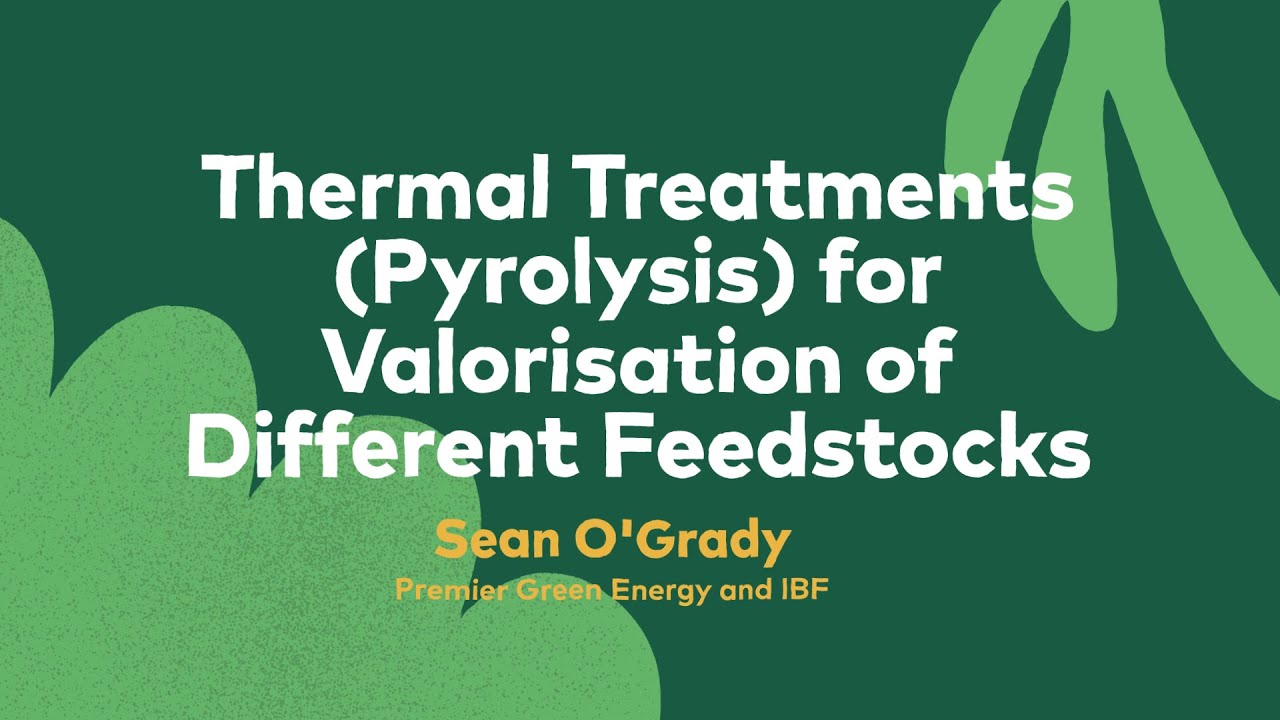 Technological Trends in the Bioeconomy: Pyrolysis for Feedstock ...