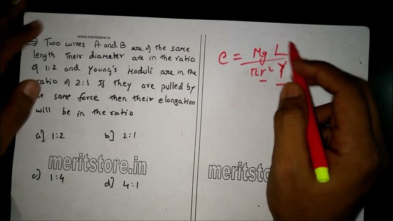 Elasticity - Level 3 MCQs | NEET & JEE - YouTube