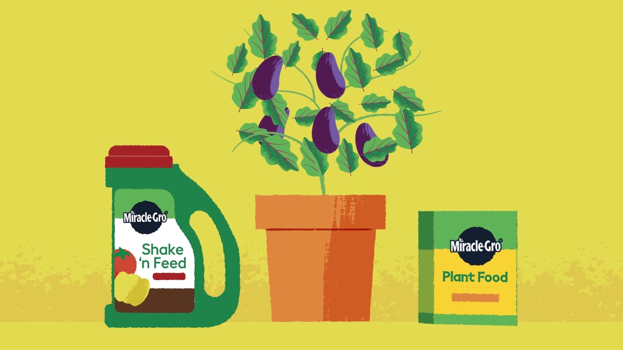 Home Gardening and Landscaping - White's Ace Hardware - Serving Carmel ...