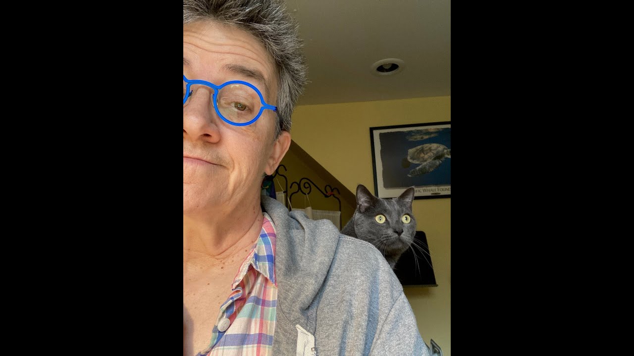 Ann Reed Live From Somewhere In Her House Returns! - YouTube