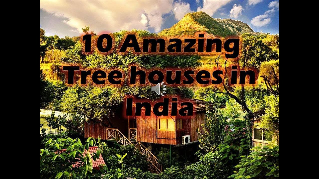 10 Amazing Tree houses in India - YouTube