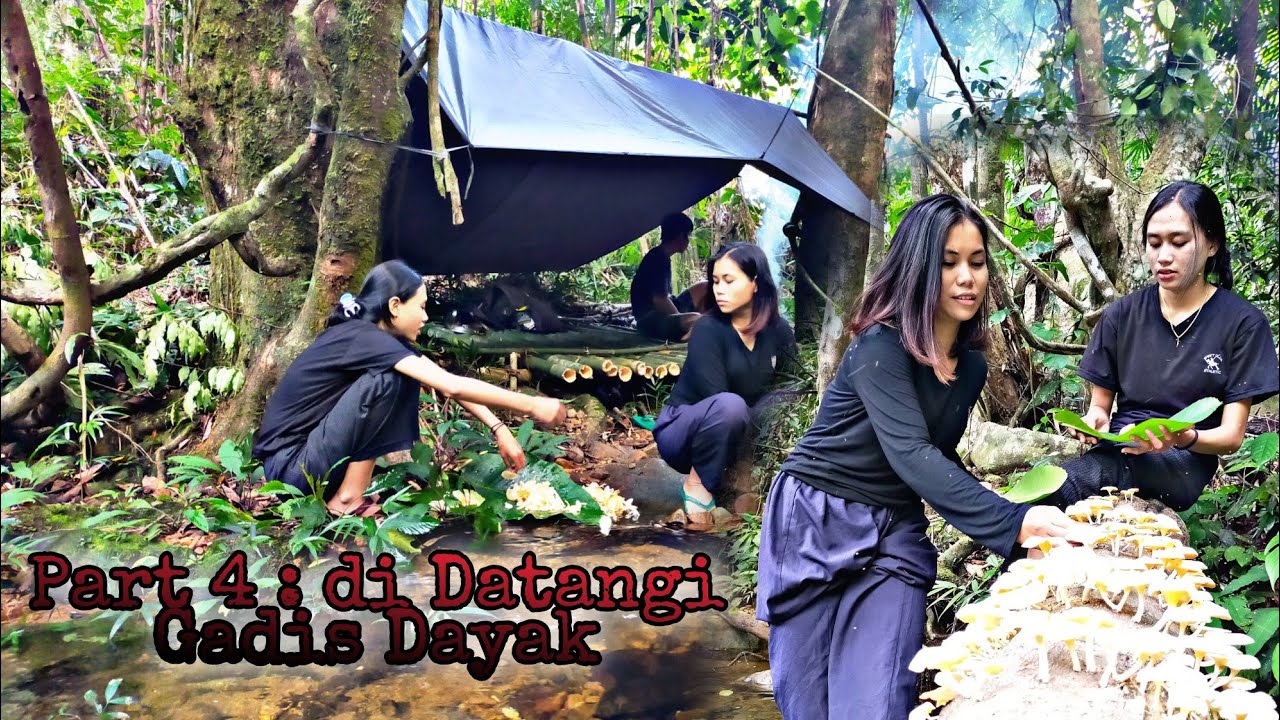 Suku Dayak || 3 Hari Hidup di Hutan, di Datangi Gadis Dayak di Pondok ...
