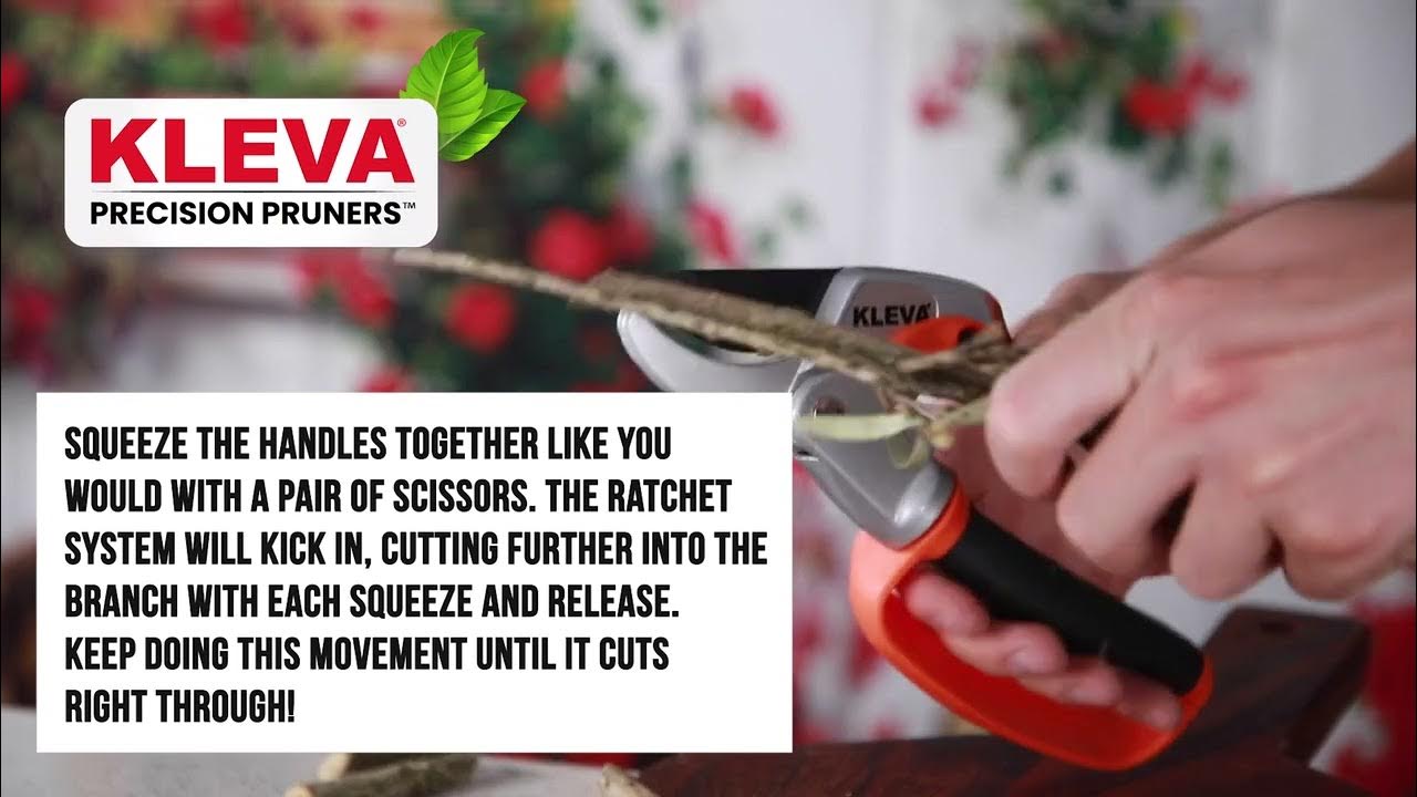 Mastering The Kleva Precision Pruners™: A Comprehensive Usage Guide | KlevaRange.com.au - YouTube