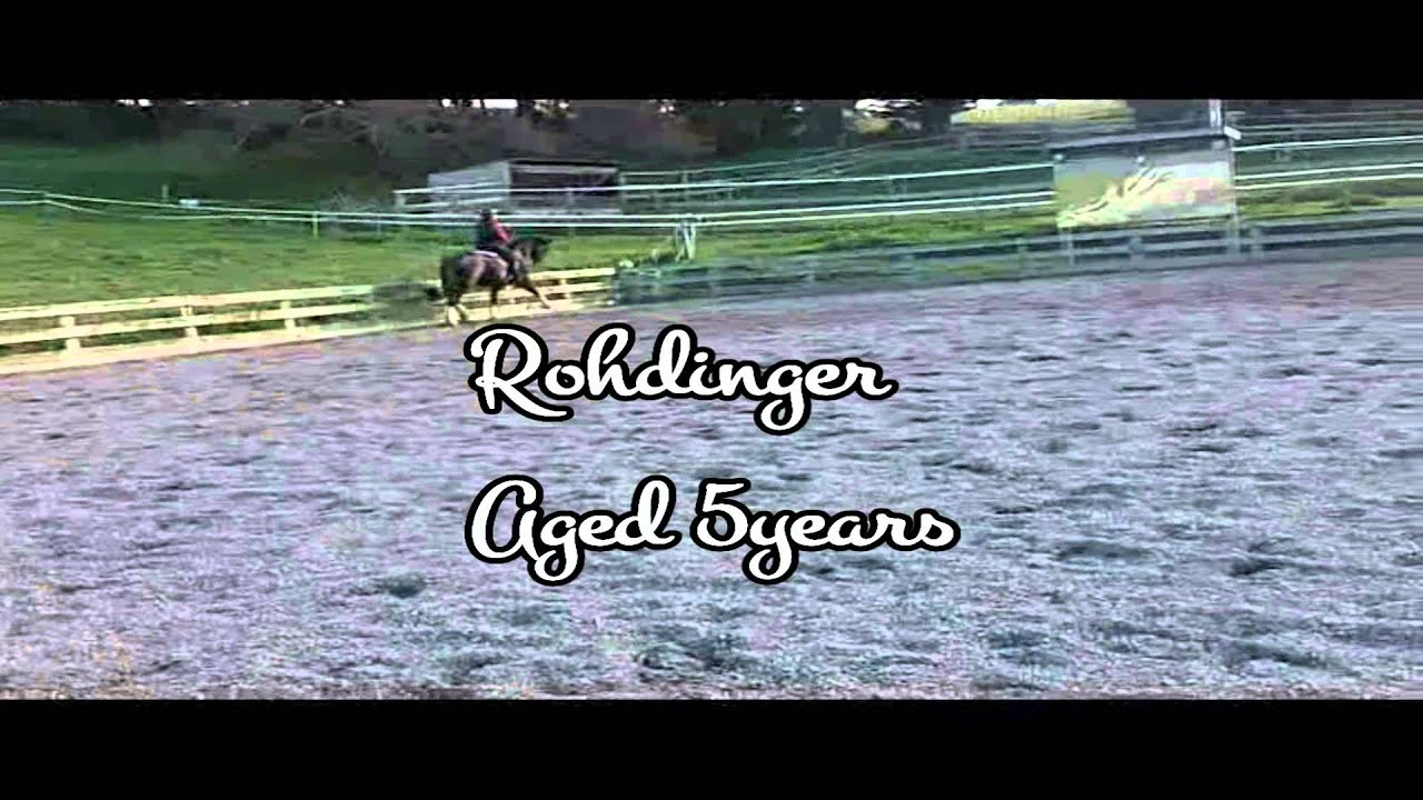 2013 CDS Stallions - Donnerubin and Rohdinger - YouTube