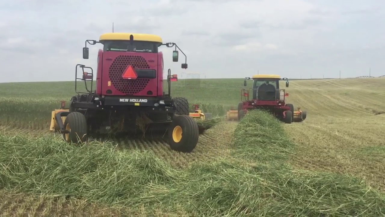 2019 New Holland Dura Merger - YouTube