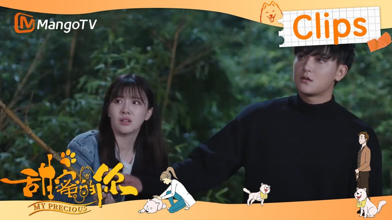 《甜蜜的你 My Precious》沈觅找不到田甜，赶紧开车救她 |💕🐩 My Precious Highlights | MangoTV ...
