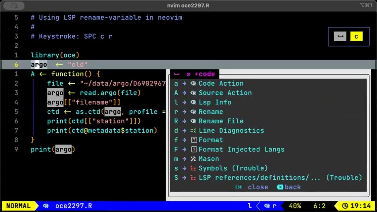 neovim: how to rename variables in code - YouTube